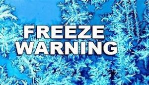 Freeze Warning Issued for Ohio: Protect Your Plants from Frost